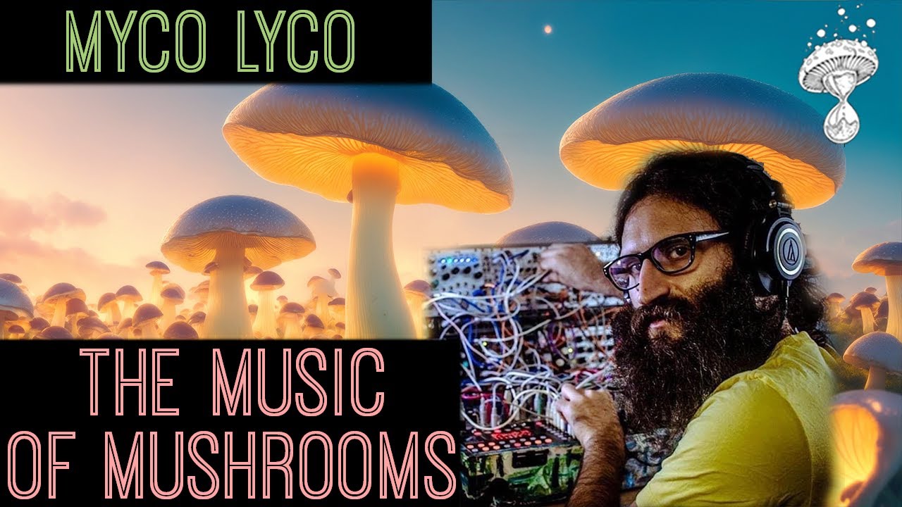 Myco Lyco - Fungal Frequencies, Biodata Sonification & the Music of ...