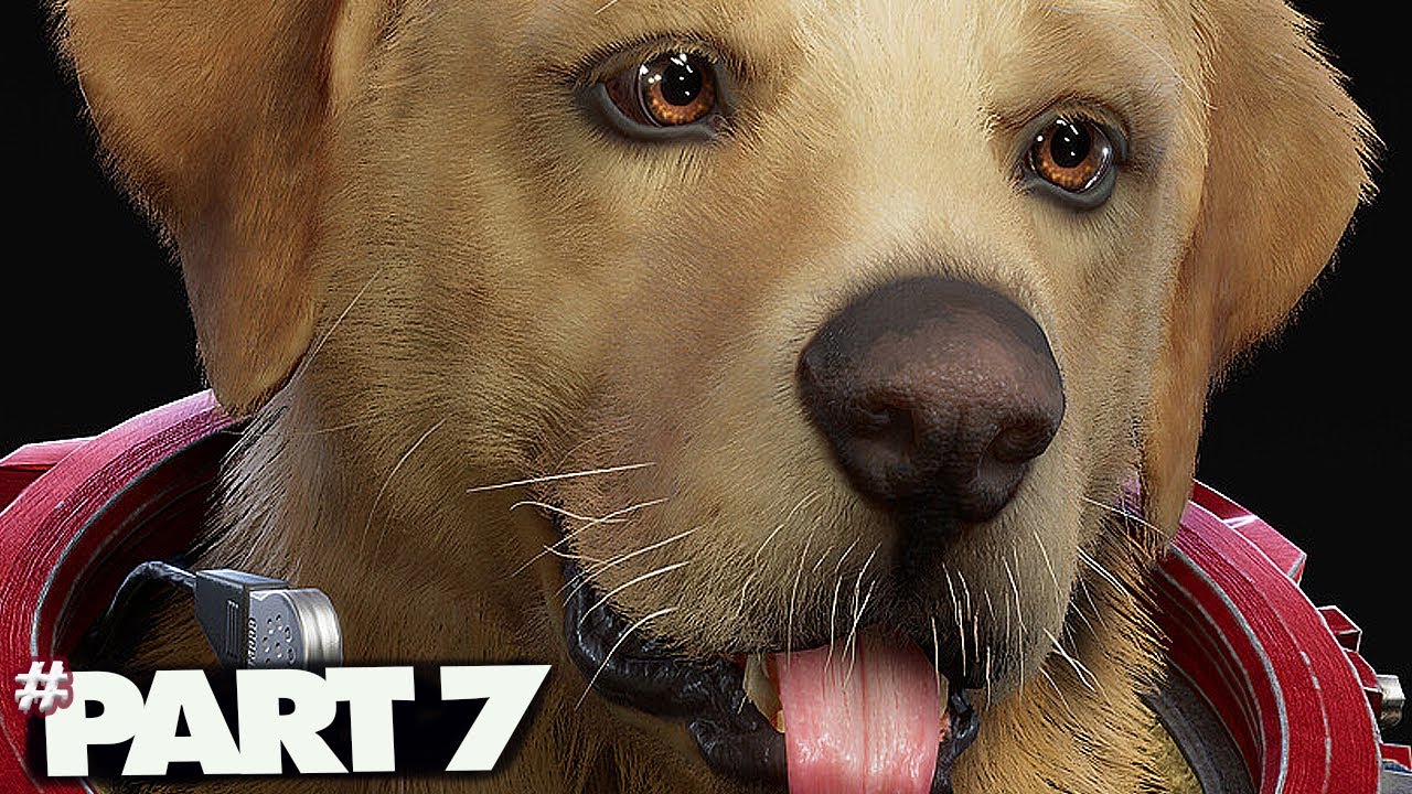 Marvel's Guardian of the Galaxy 2022 - COSMO THE TALKING DOG - A funny ...