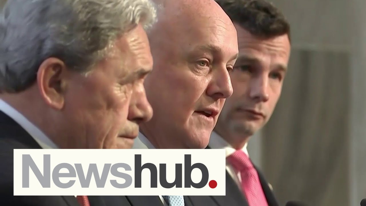 What's changing? What you need to know about NZ's new Govt | Newshub ...