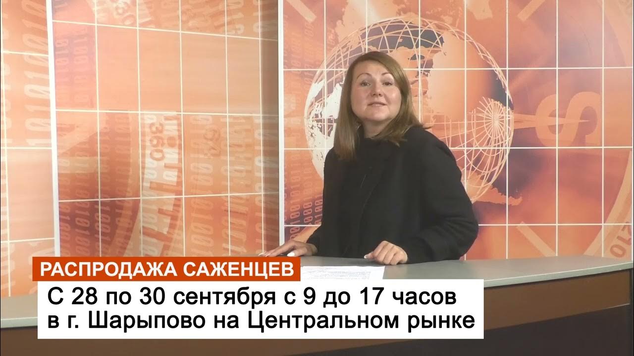 Распродажа саженцев - YouTube