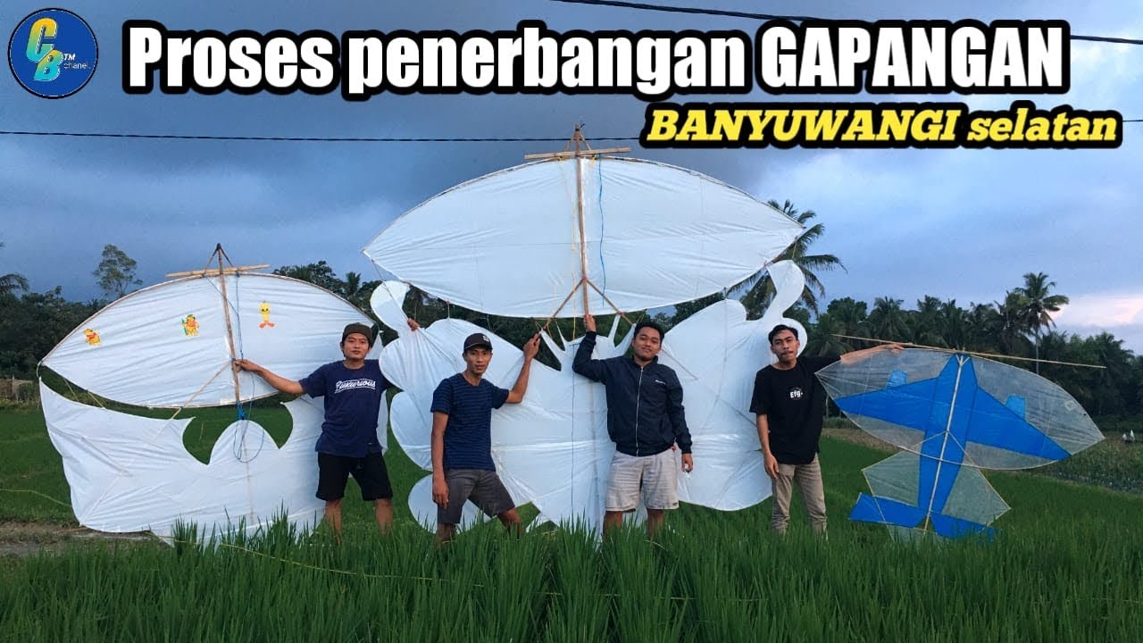 Review Layangan Gapangan Terbesar di BANYUWANGI - YouTube