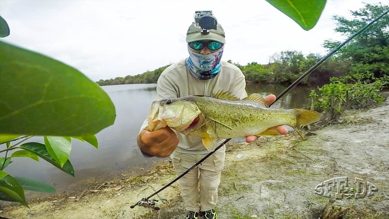 South Florida - Fishing for bass With Salmo Lures - HD Video # 118 ...