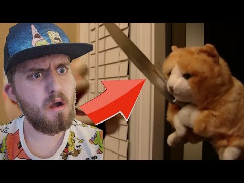 THE KILLER PUFFBALL JERKINS THE THIRD ORANGE CAT!!! - YouTube