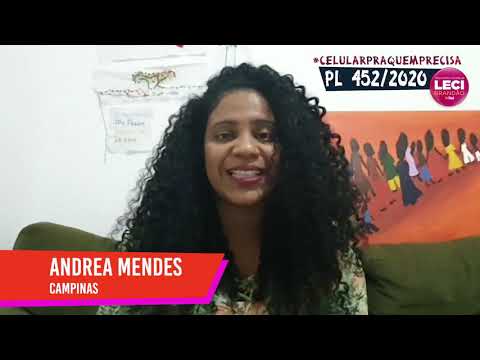 PL 452/2020 Andrea Mendes