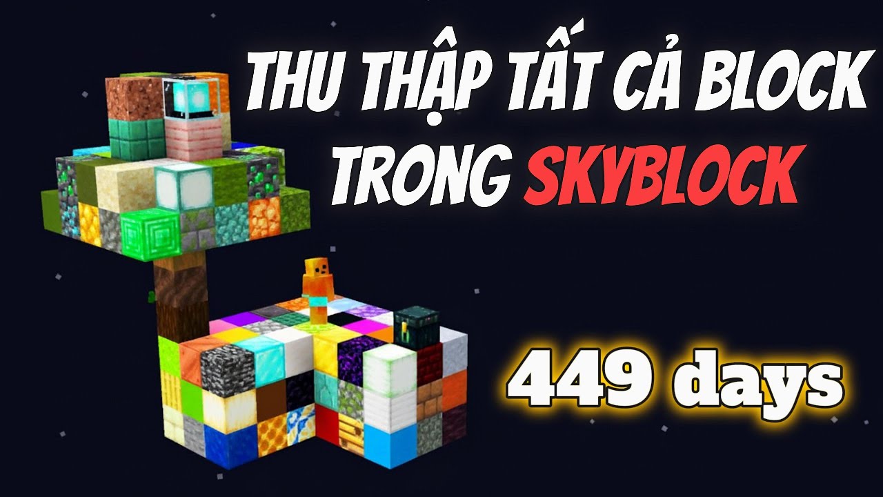 Tôi Thu Thập Tất Cả Các KHỐI Trong SkyBlock | MeMairap - YouTube