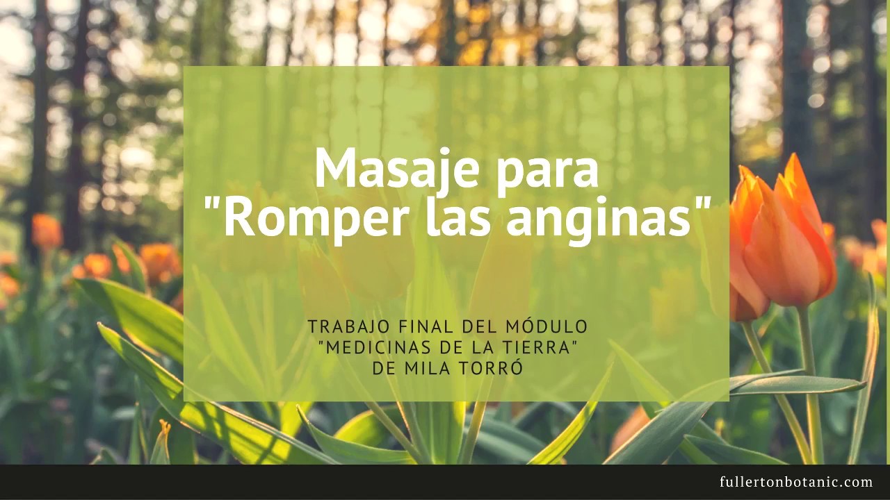 ANGINAS Masaje natural para ROMPERLAS. Recuperando medicinas ...