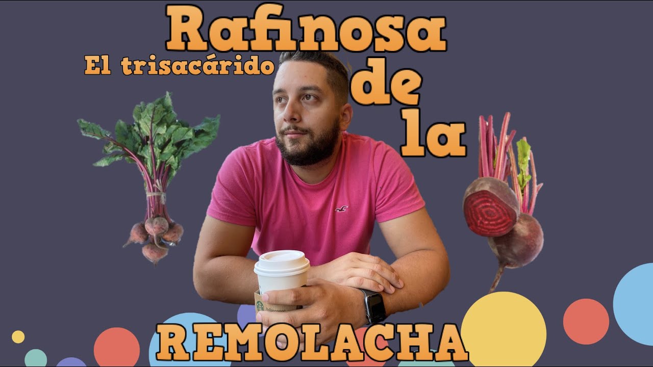 Rafinosa el trisacárido de la remolacha - YouTube