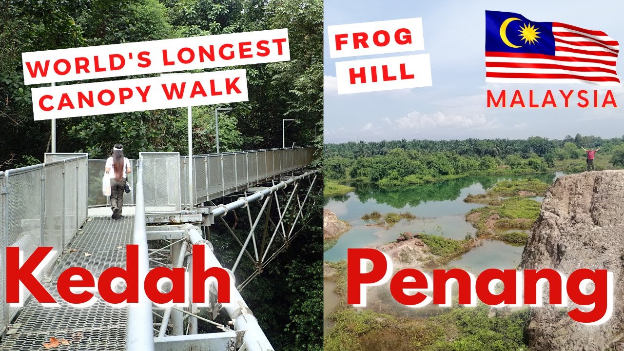 World's Longest Canopy Walk is Malaysia's Tree Top Walk Sungai Sedim ...