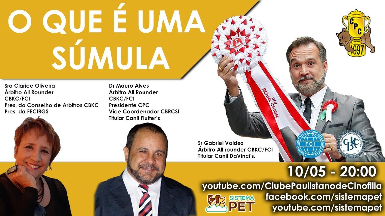 O que é uma Súmula - YouTube