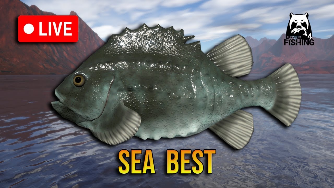 Catching All The Cute Fish - Russian Fishing 4 - YouTube