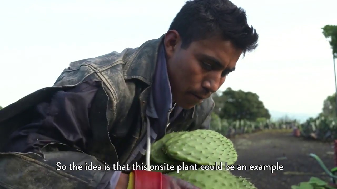 24 Hours of Reality 2017 Cactus Power Mexico City Mexico - YouTube