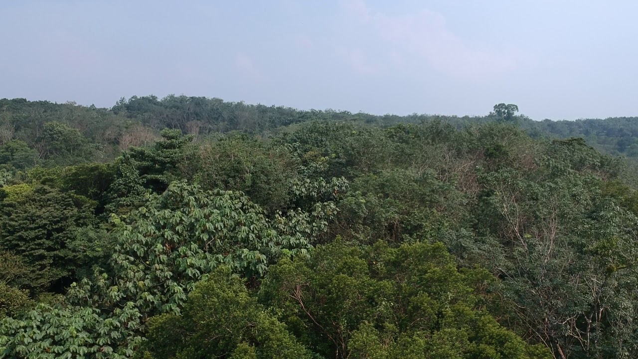 Bidor Kg Poh Part 1 - YouTube