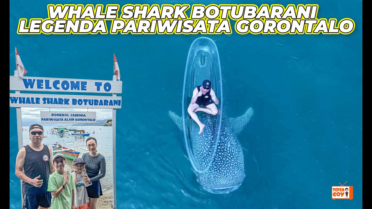 WHALE SHARK BOTUBARANI | LEGENDA PARIWISATA ALAM GORONTALO - YouTube