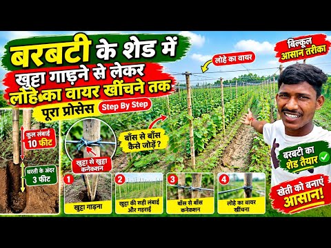 बरबट्टी के शेड में खुट्टा गाड़ने से वायर खींचने तक | पूरा प्रोसेस Step By Step 🌱