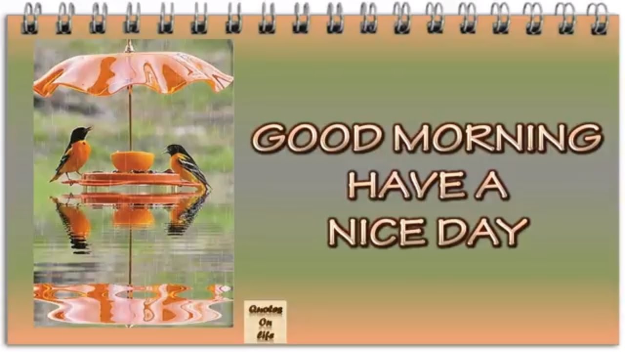 GOOD MORNING video-WhatsApp,Good morning greeting video with animated ...