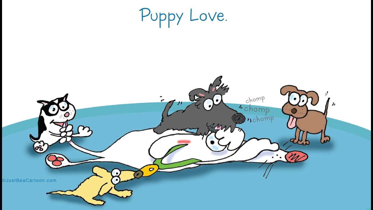 Puppy Love Full Episodes 2018 - Cartoon Book Entertainment For Kids ...