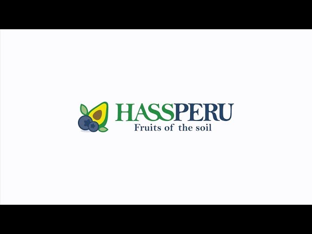 Logotipo De Hass Peru