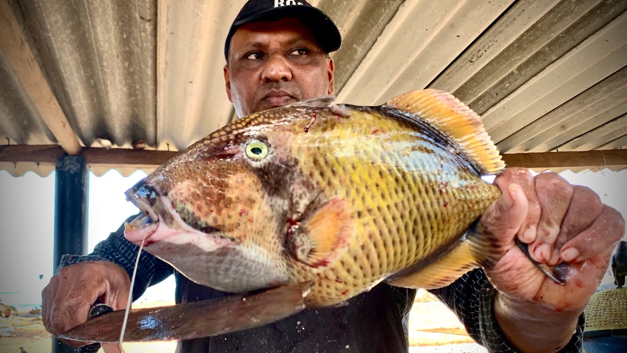 Amazing 🤩 Sea Chicken Cutting Skills | Village style #fishcutting #asmr ...