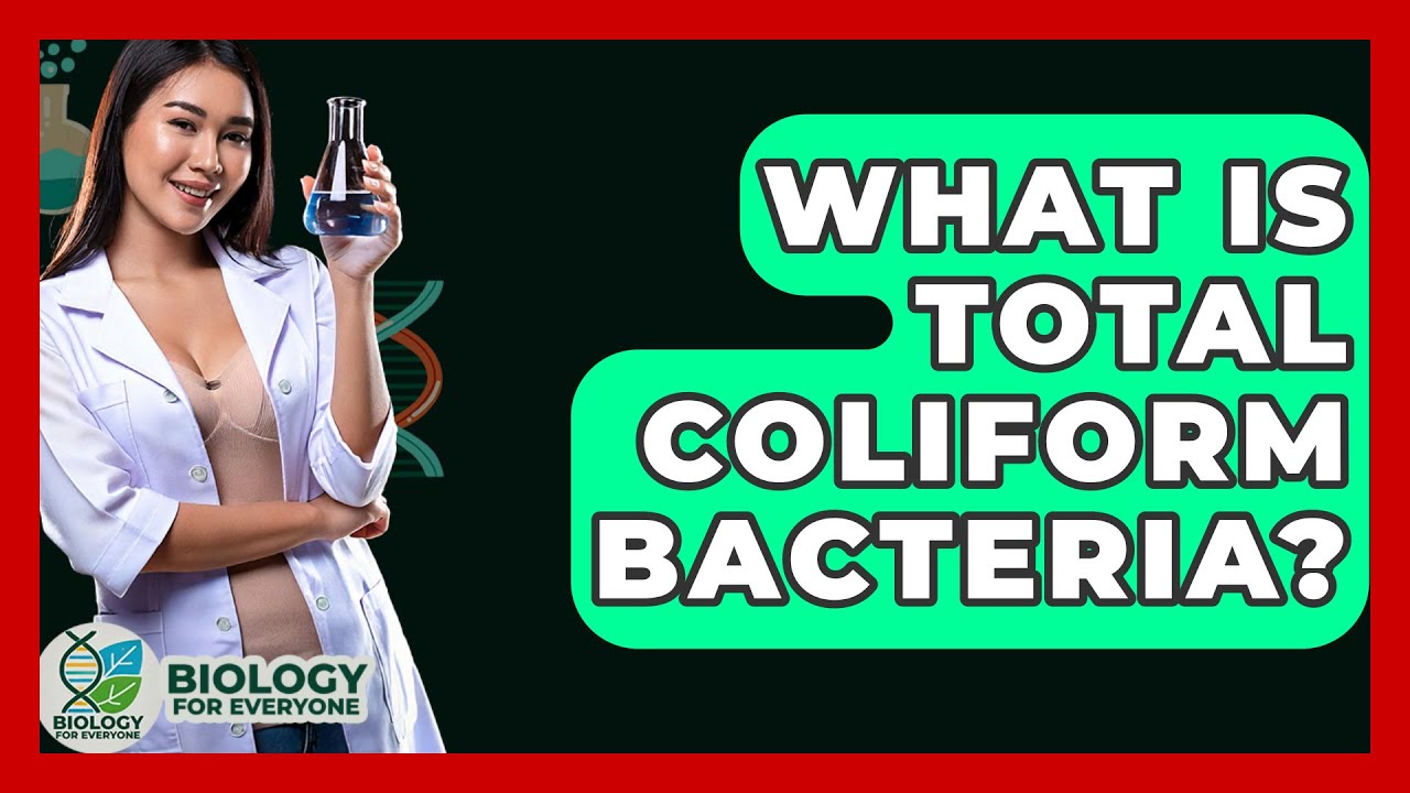 What Is Total Coliform Bacteria? - Biology For Everyone - YouTube
