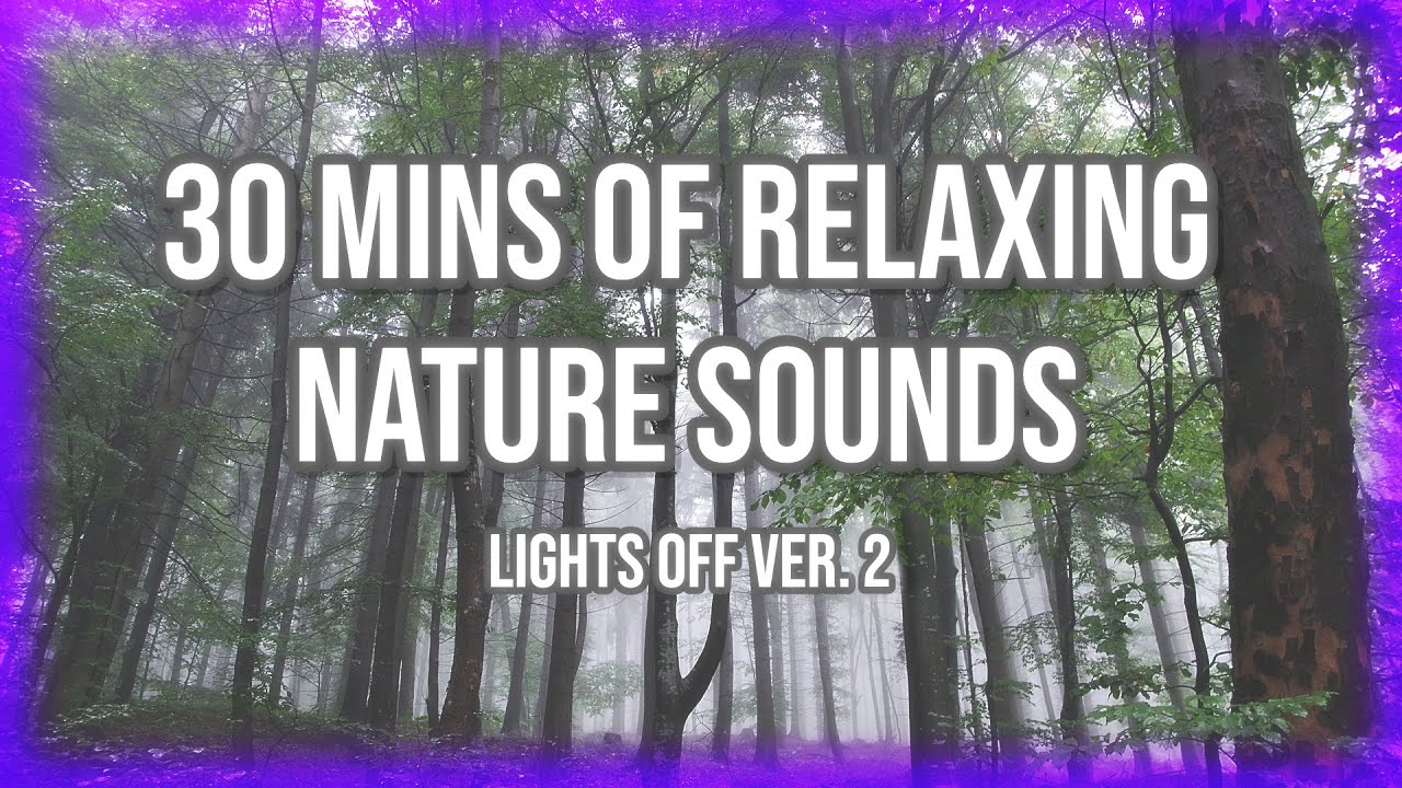 30 Mins Relaxing Nature Sounds, Wind, Birds, Study, Meditation, Sleep ...