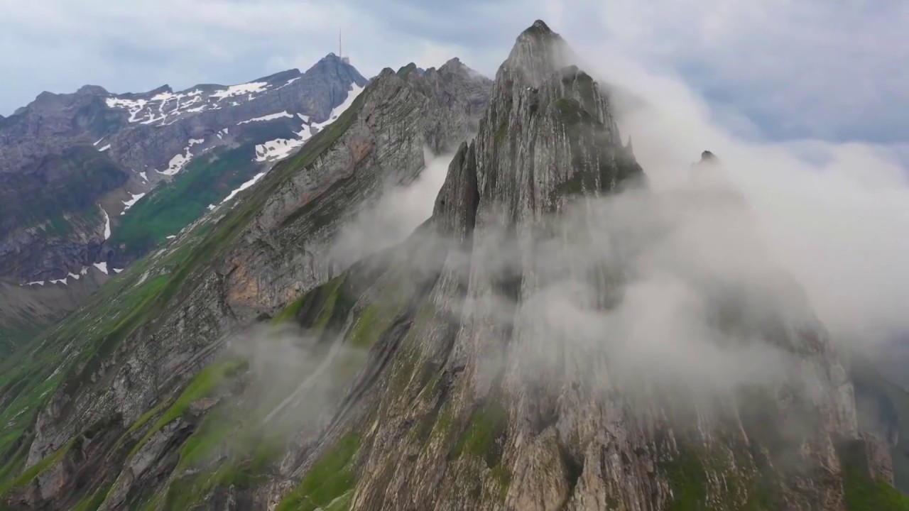 Final Chapter-Part 26 Preview , Biblical Tree Remains - YouTube