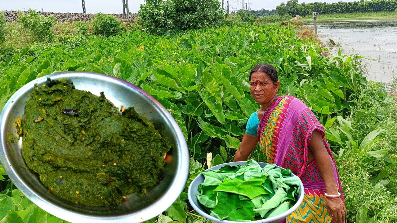 কচুর পাতা দিয়ে শাক ভাজা রেসিপি | kochu pata recipe | kochu pata vaja ...