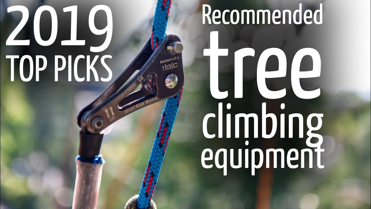 Tree climbing equipment recommendations - Ropes, harness, spurs ...