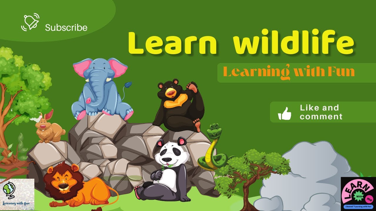 Learning wildlife|learn forest animals for kids|jungle animals for kids ...