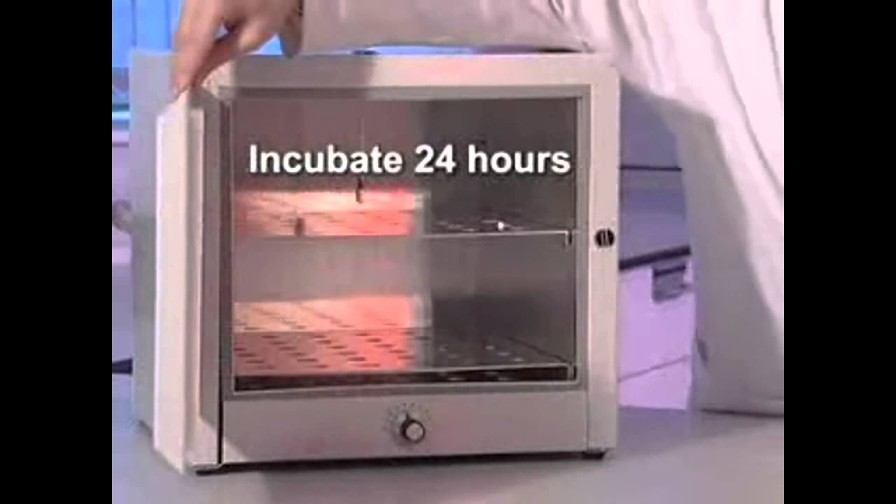 Colilert® Test Overview and How To Instructions - YouTube