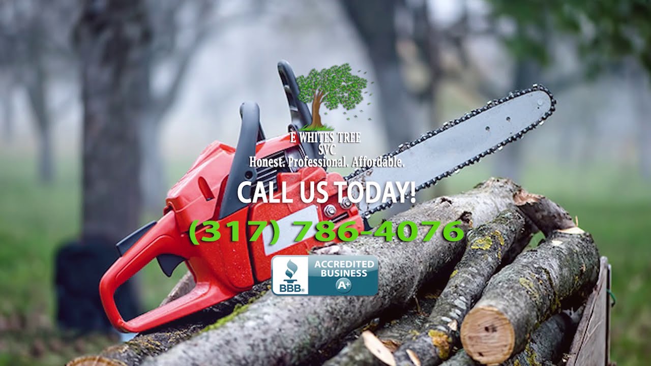 E White Tree Service - YouTube