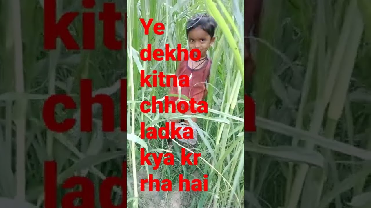 What Is Name YouTube What Is Name YouTube
