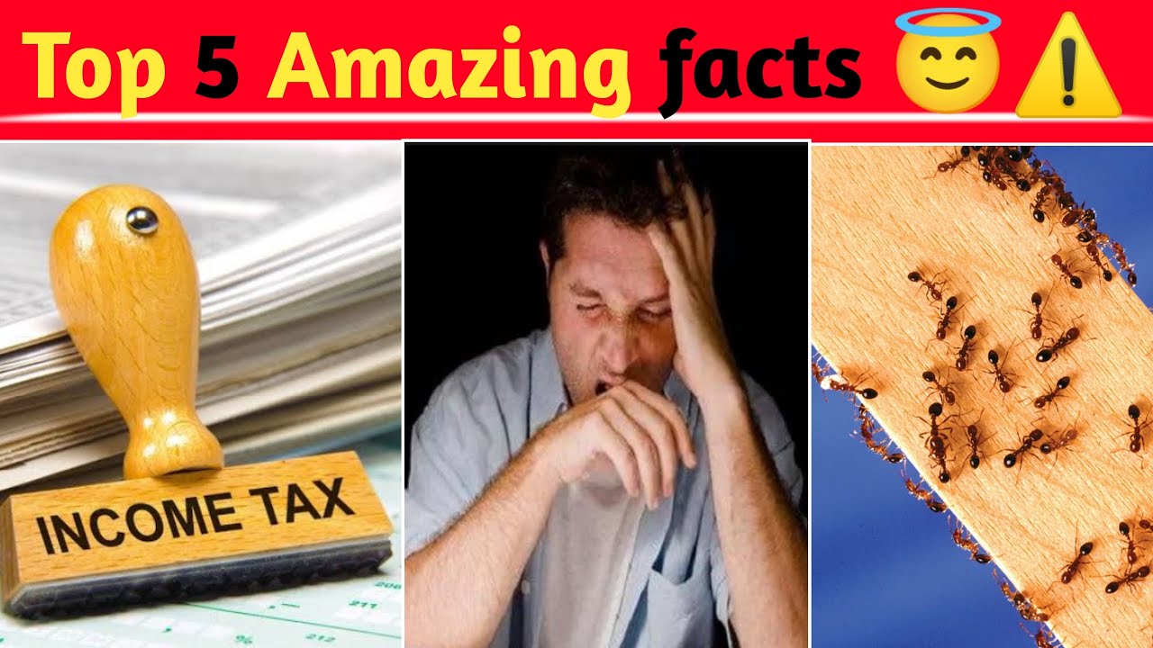 New Top 5 Amazing Facts shorts YouTube new-top-5-amazing-facts-shorts-youtube