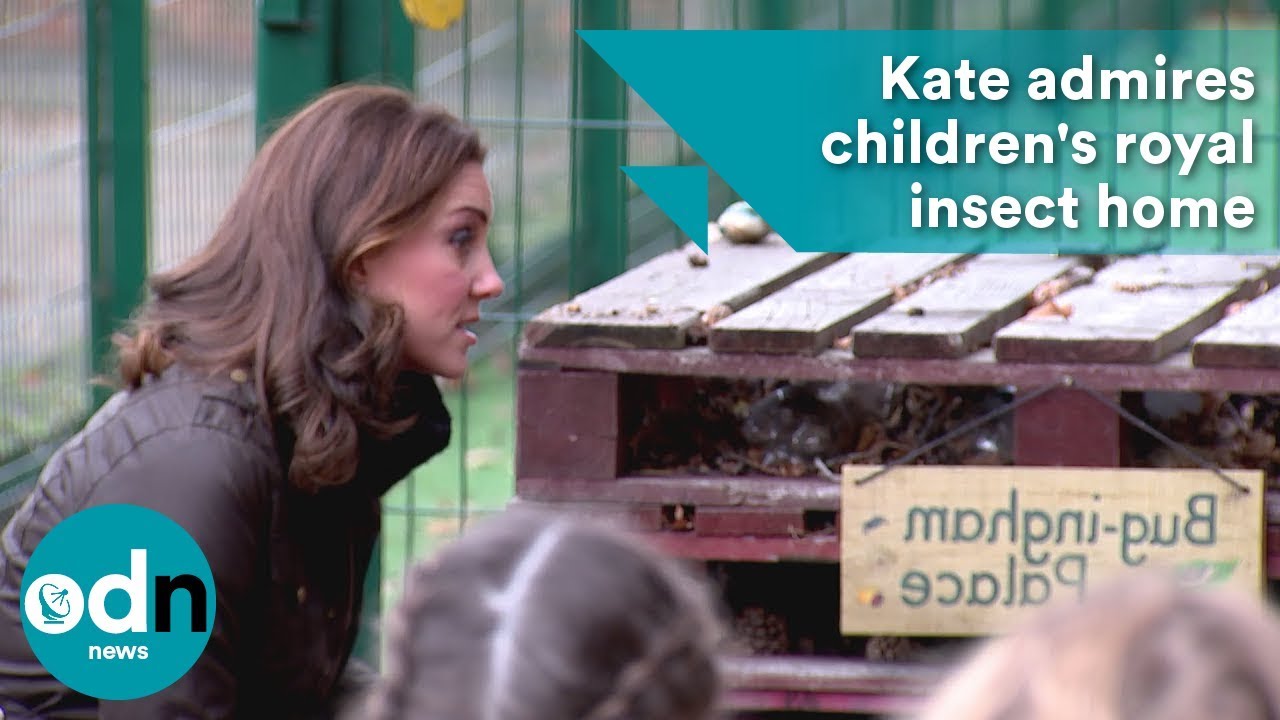"Bug-ingham Palace": Kate admires children's royal insect home - YouTube