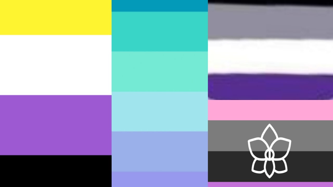 What the flags on my pfp mean! | also, HAPPY PRIDE YALL!!! - YouTube