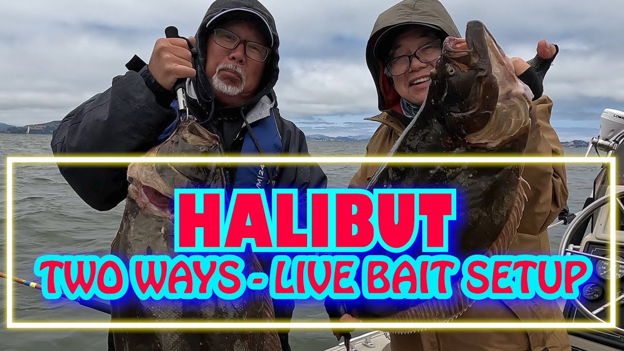 EASY Halibut Fishing with Live Bait - Setups & How to Find Them! (San ...