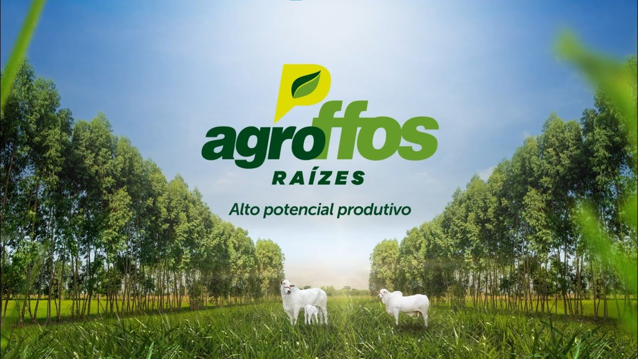 Agroffos Raizes Alto Potencial Produtivo - YouTube