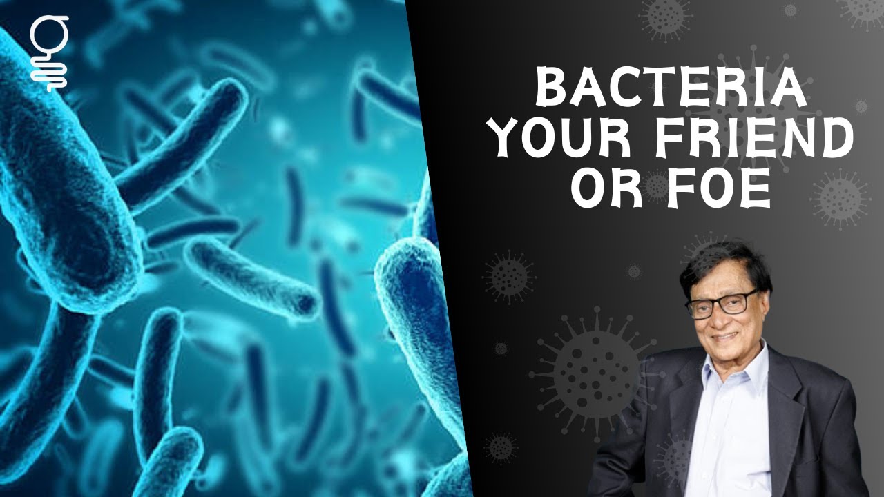 Bacteria… your Friend or Foe | G 1 - E 3 | #guthealth #gutbacteria # ...