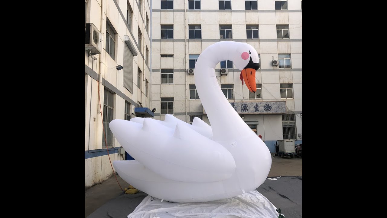 Giant Beautiful Inflatable Pink Swan Model for Advertising - YouTube