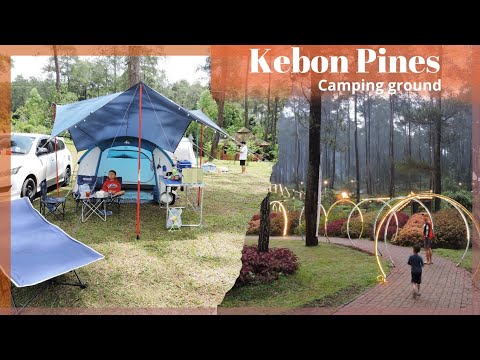 Kebon Pines Camping Ground #camping #campingground #campingkeluarga # ...