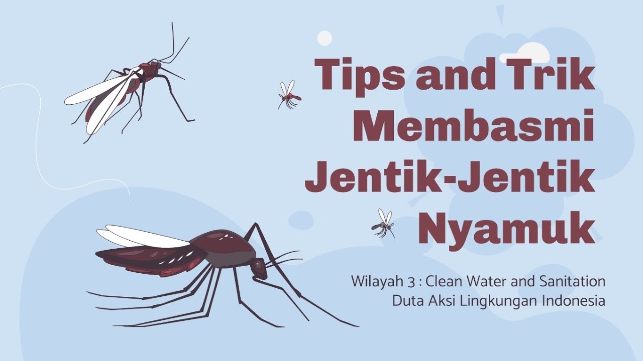Tips and trik membasmi jentik-jentik nyamuk [ Clean water and ...