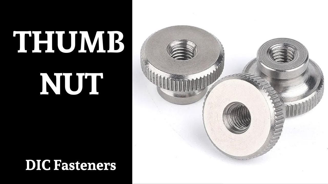 Thumb Nuts | Nuts| Dedicated Impex Co - YouTube