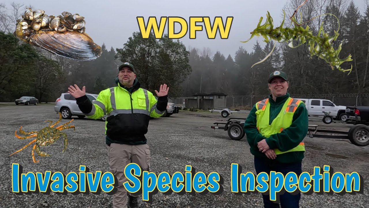 Inspected By WDFW-AMERICAN LAKE. Finding & Catching Fish. Fool Proof ...
