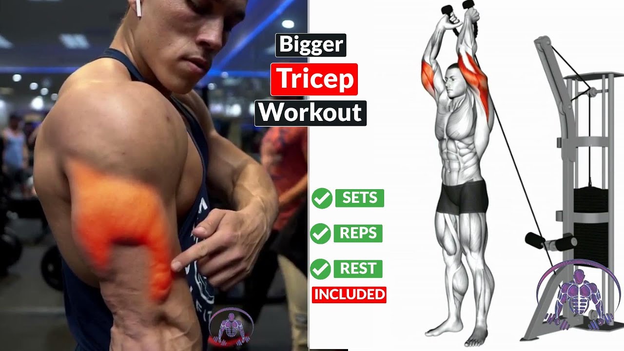 BIGGER TRICEP WORKOUT Sets Reps And Rest Included YouTube