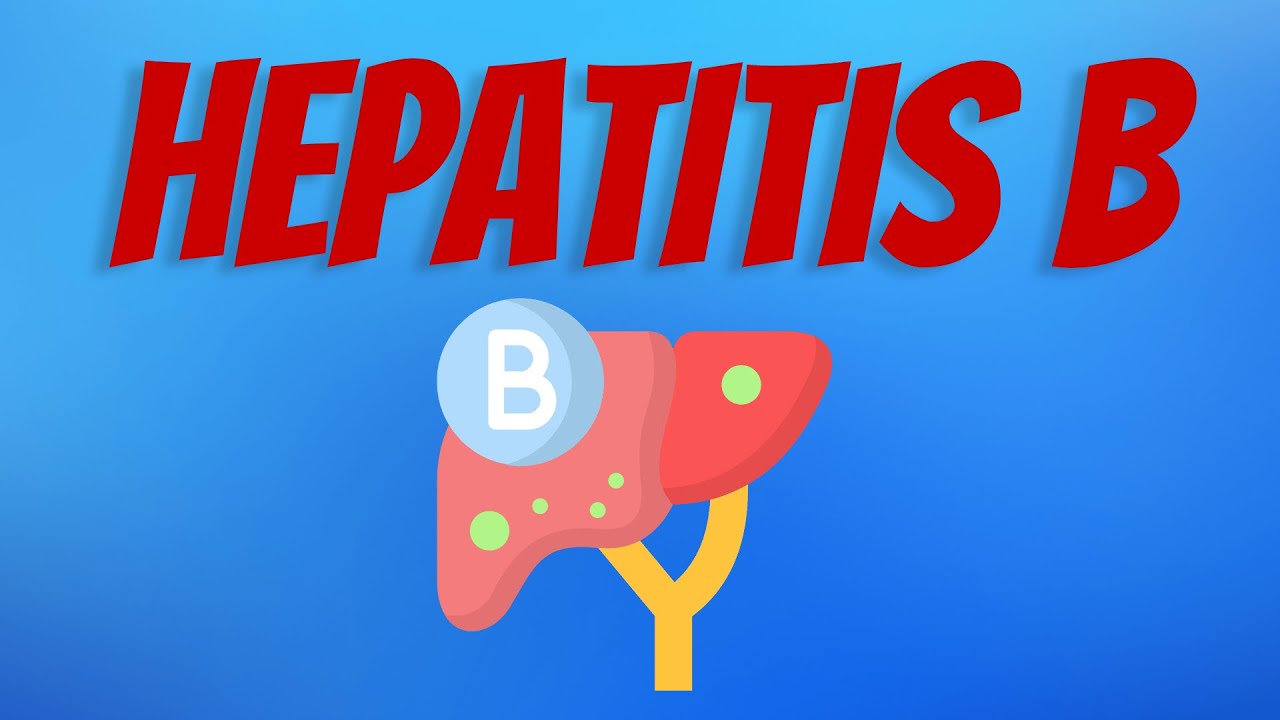Hepatitis B Explicado Claramente - YouTube