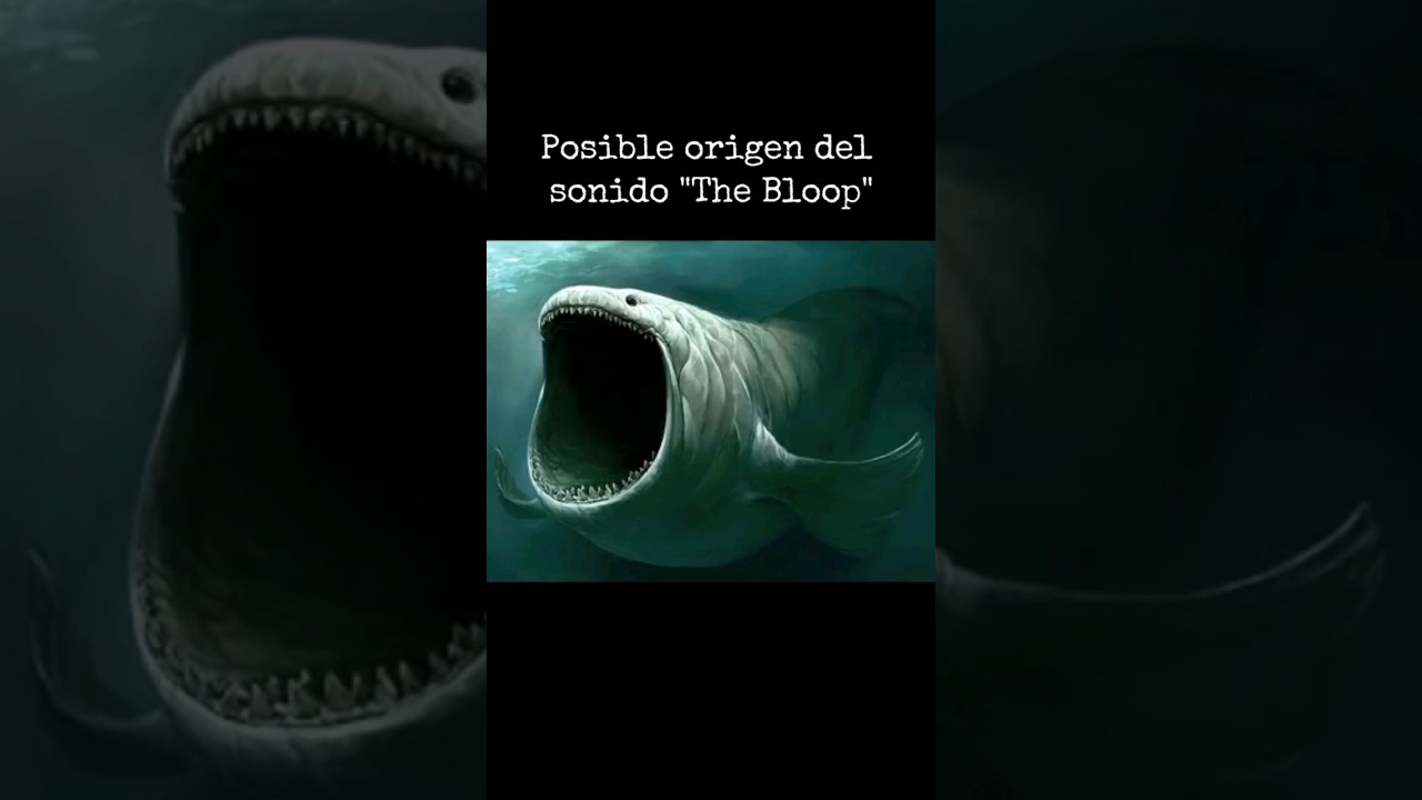 Escucha el misterioso sonido submarino "The Bloop" - YouTube