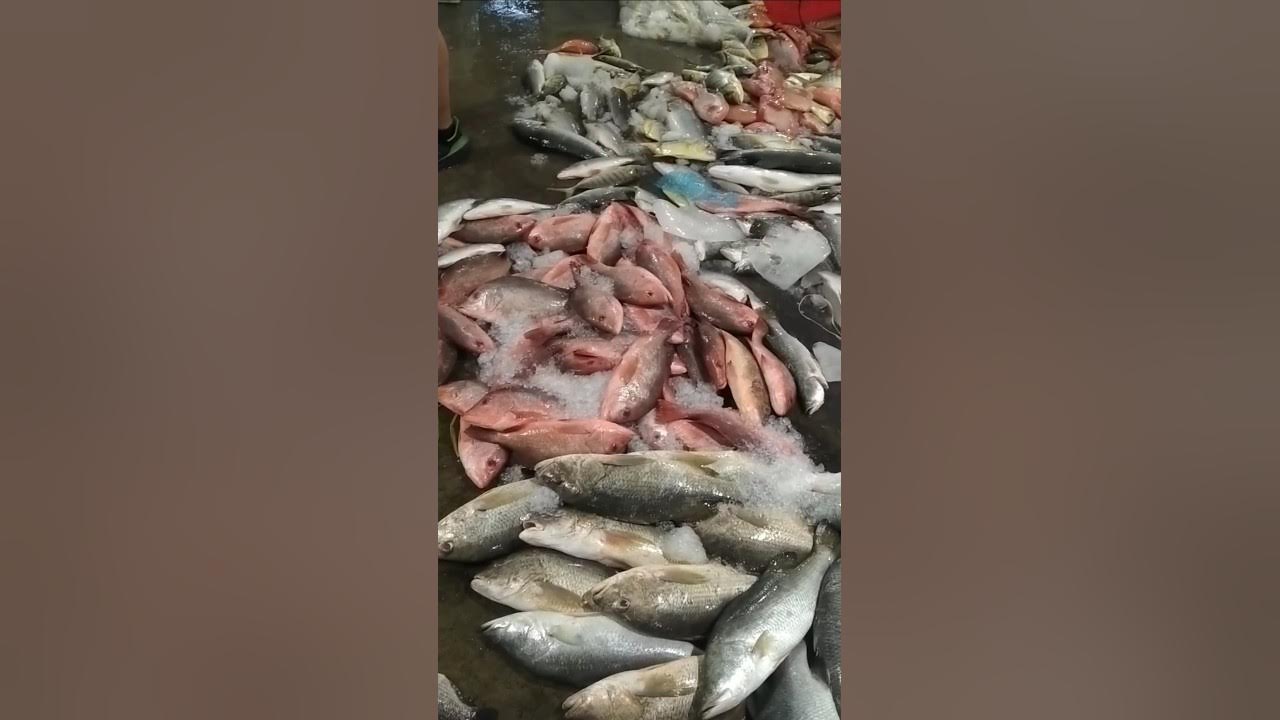 Grabe dumagsa na naman mga isda🥰🙏 #subscribe #fishing #viralvideo #seafood @jonathansascvlog ...