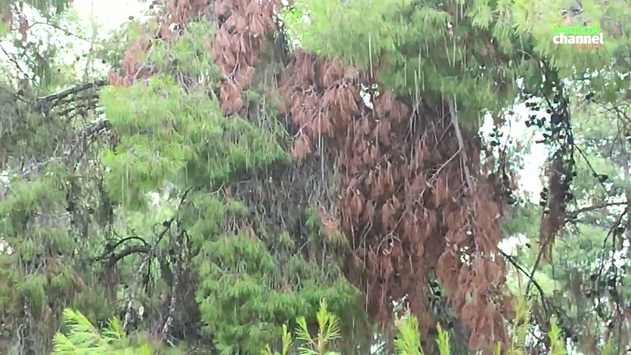 ΒΡΟΧΗ ΑΘΗΝΑ ΗΛΙΟΥΠΟΛΗ - YouTube