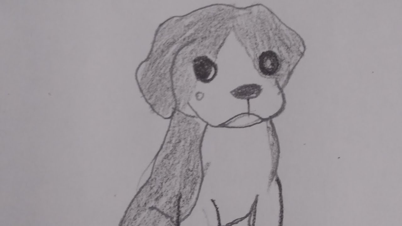 How to draw a very easy dog in pencil step by step for beginners - YouTube
