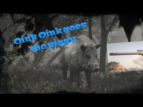 The hunt for the legendary Boar (RDR2) - YouTube