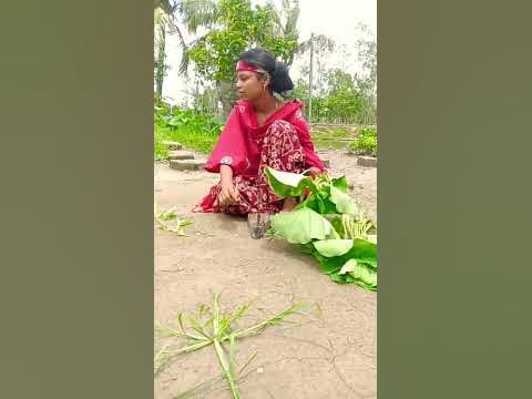 pagol pagol bole loke ami pagol na - YouTube